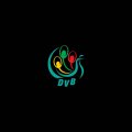 Myanmar TV Channels | DVB